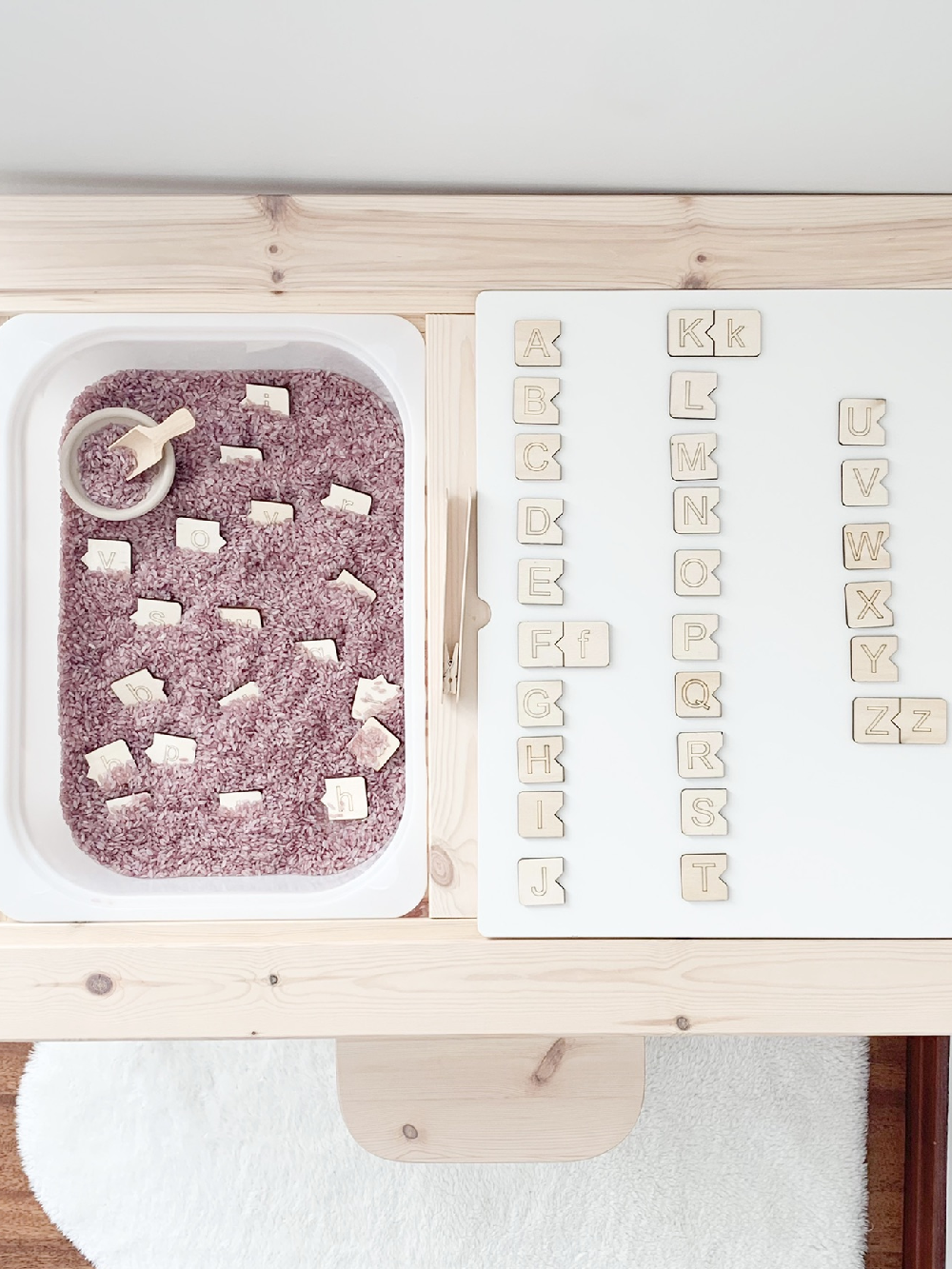Upper and Lowercase Letter Matching Sensory Bin - WonderHouse of Littles