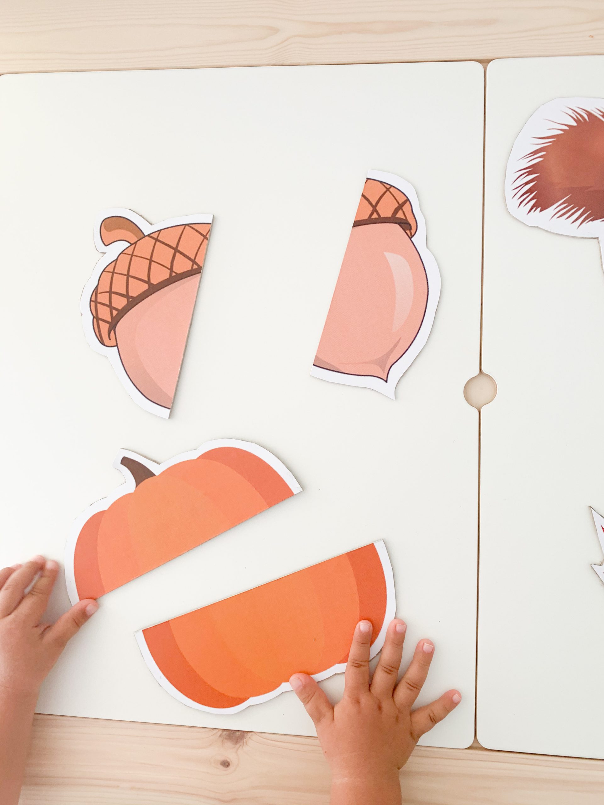 DIY Fall-Themed Puzzles - WonderHouse of Littles