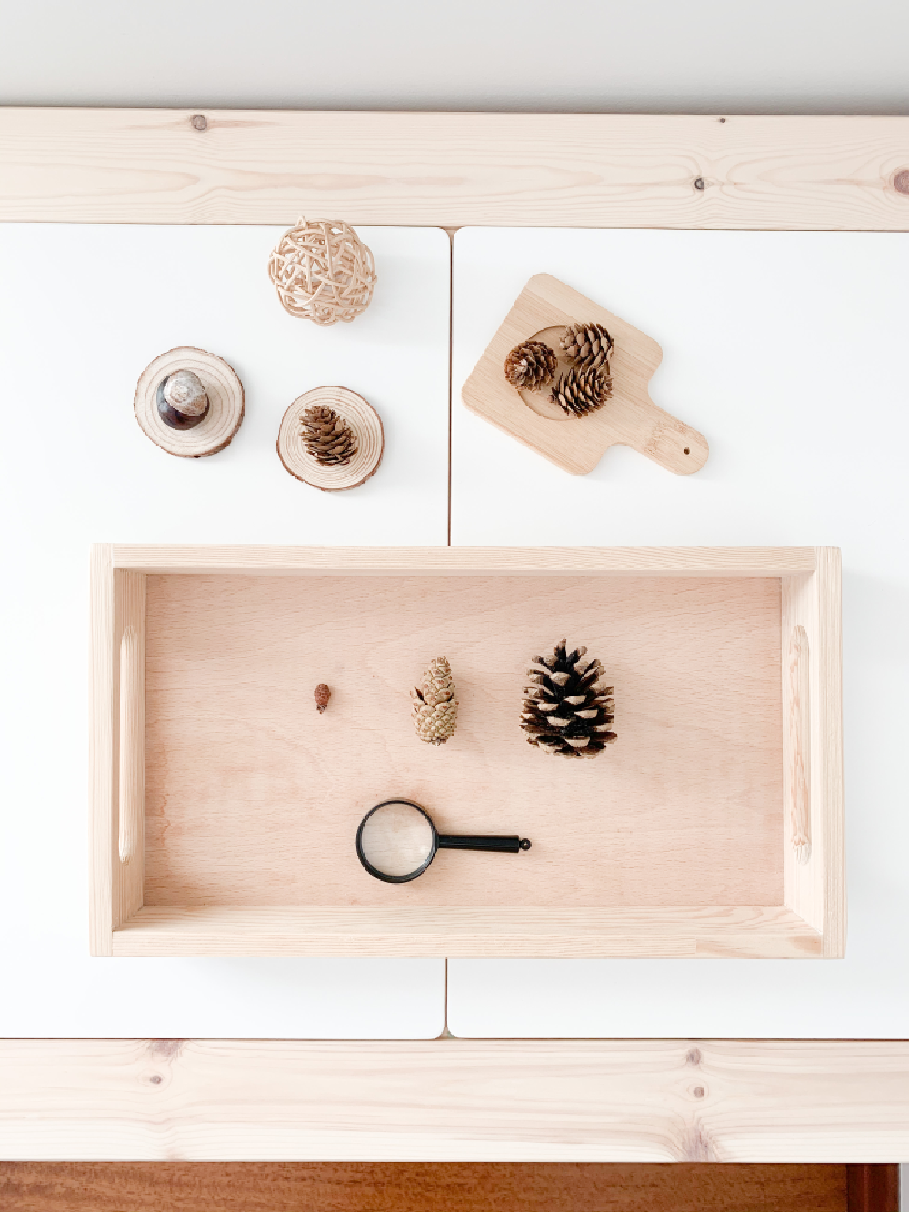 Pine Cone Growth Stages - WonderHouse of Littles