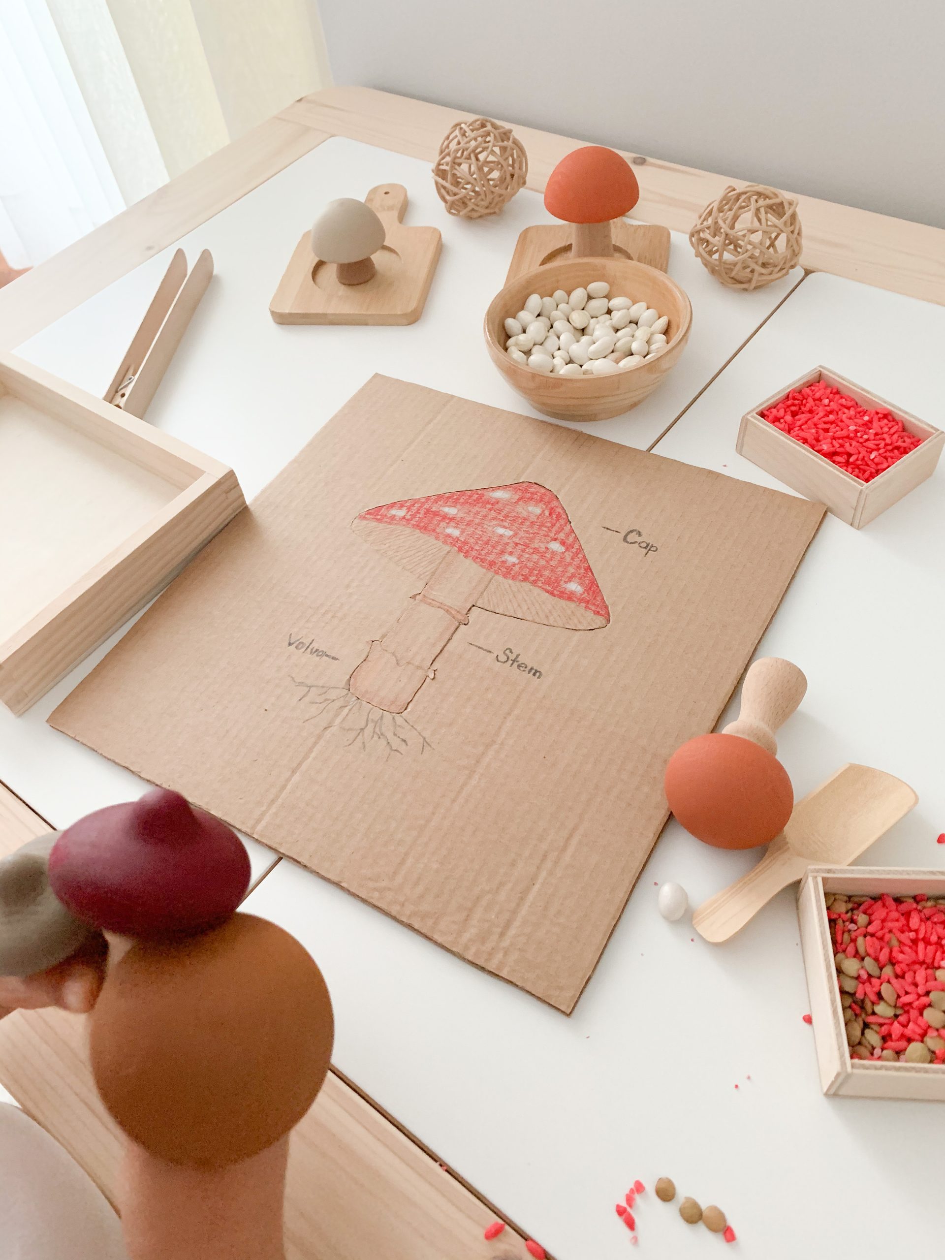 DIY Mushroom Sensory Puzzle - WonderHouse of Littles