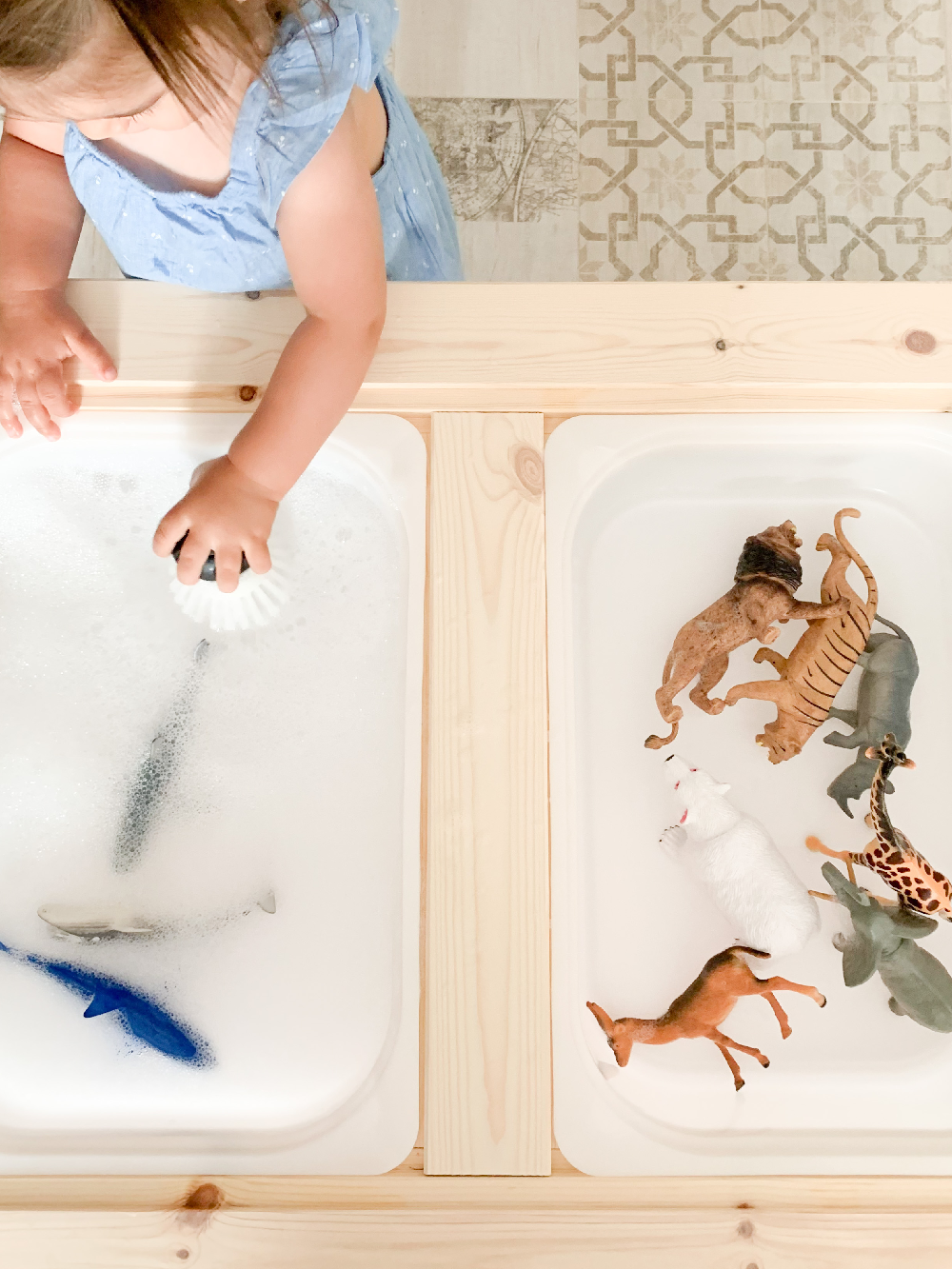 Animal Washing - WonderHouse of Littles