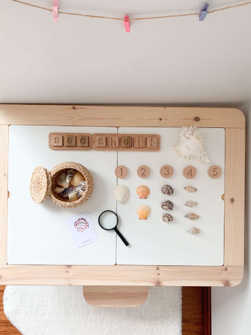 Counting with Seashells - WonderHouse of Littles