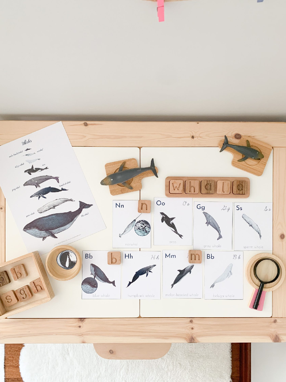 Whale Study Unit - pattern and letter matching - WonderHouse of Littles