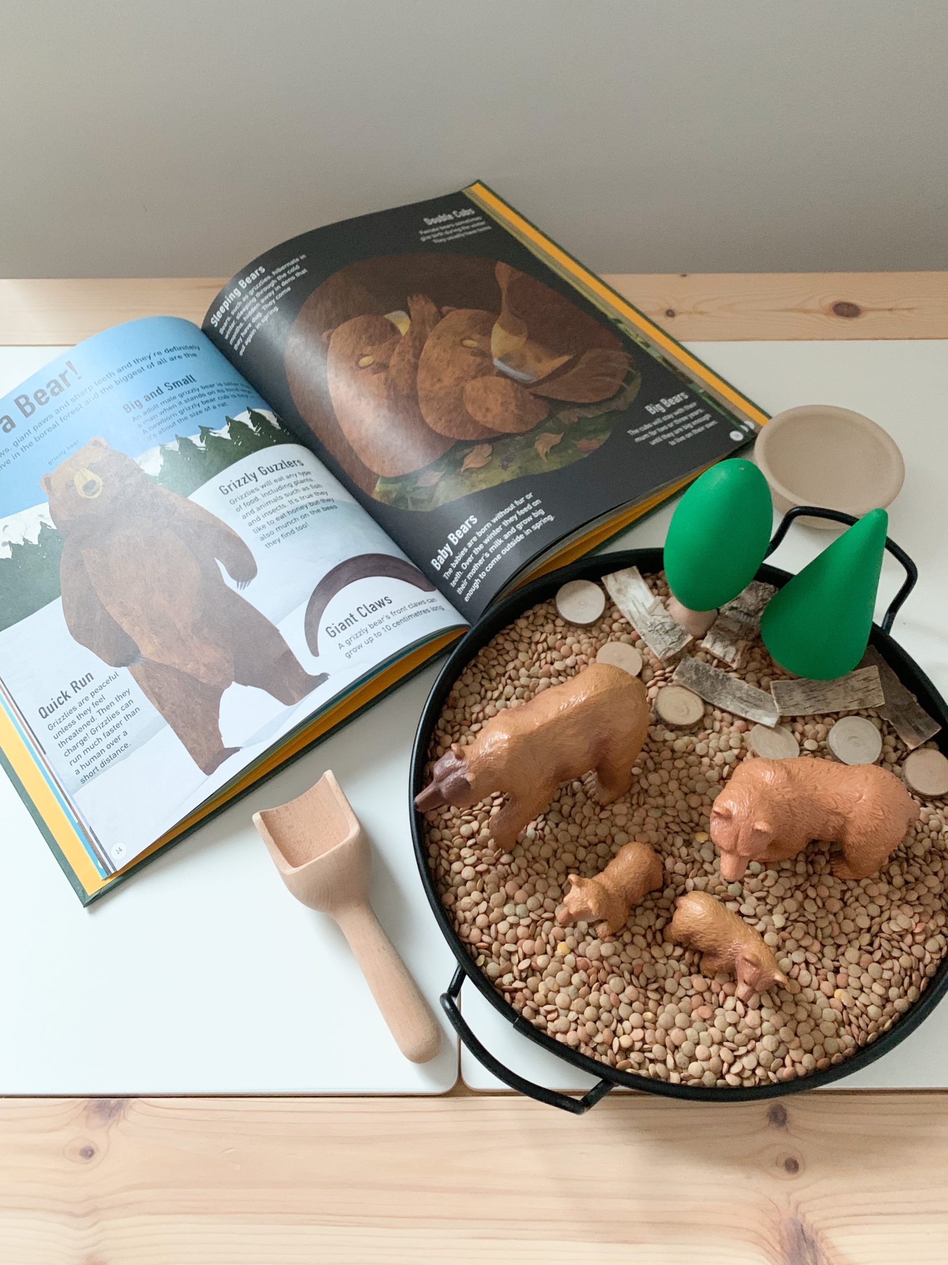 Bear Family Sensory Play - WonderHouse of Littles