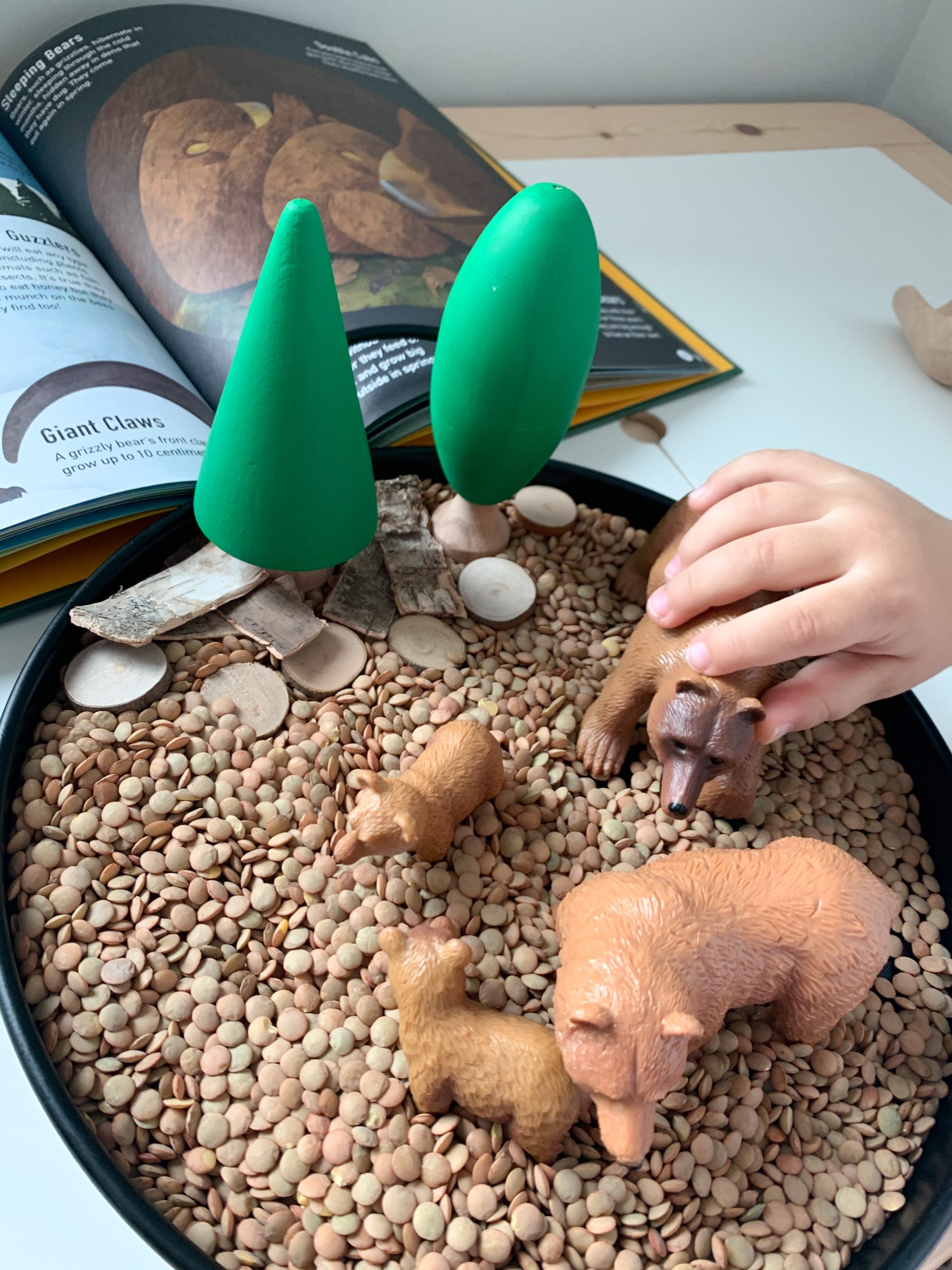 Bear Family Sensory Play - WonderHouse of Littles